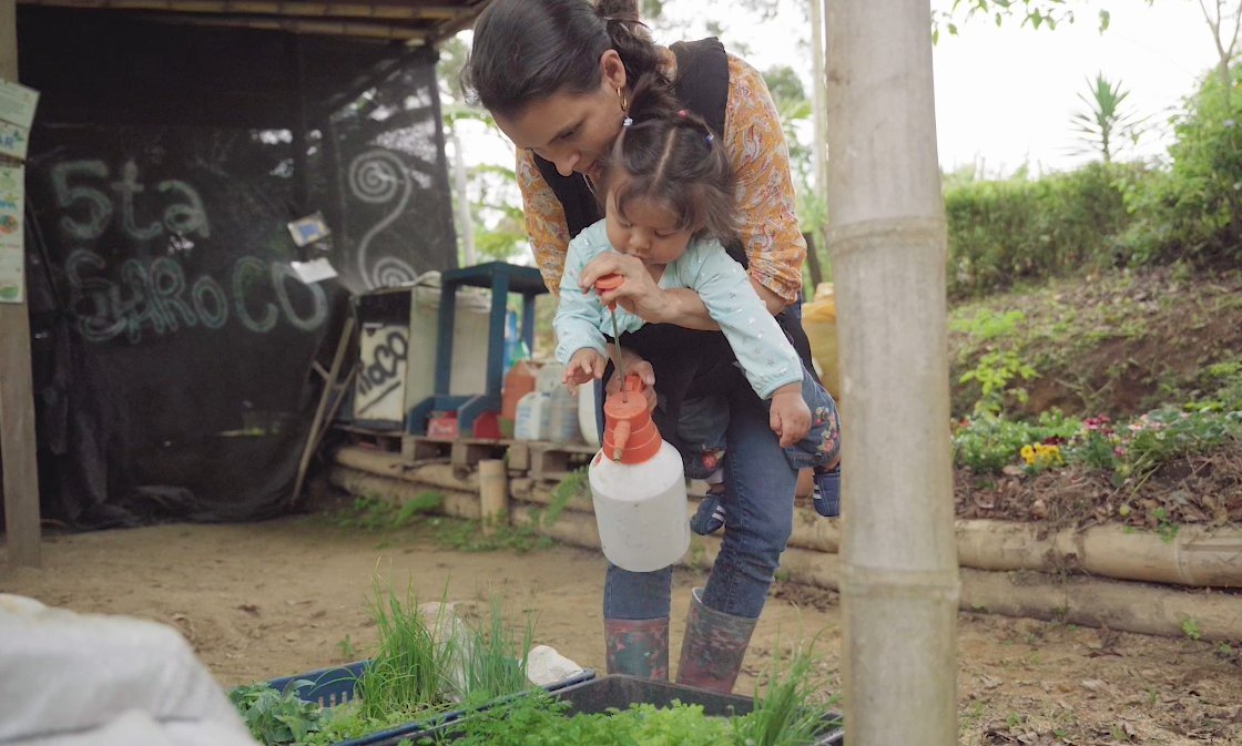 CaracolAlCampo | Guatila, chonque, balú y otras plantas nativas son el ...