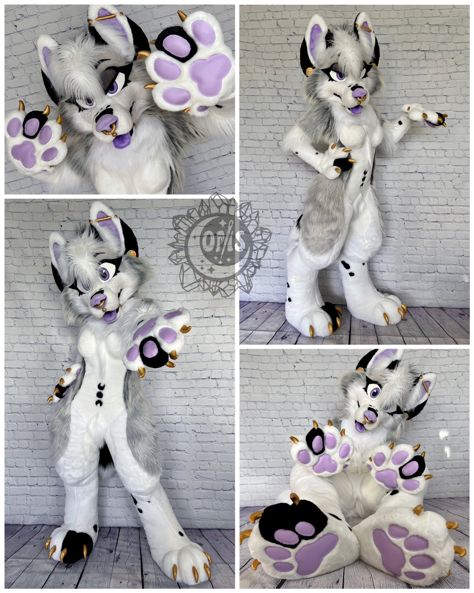 Opal Mutt Studios on Twitter: "Jordan the marbled fox!!! Don't underestimate her size, she'll ...