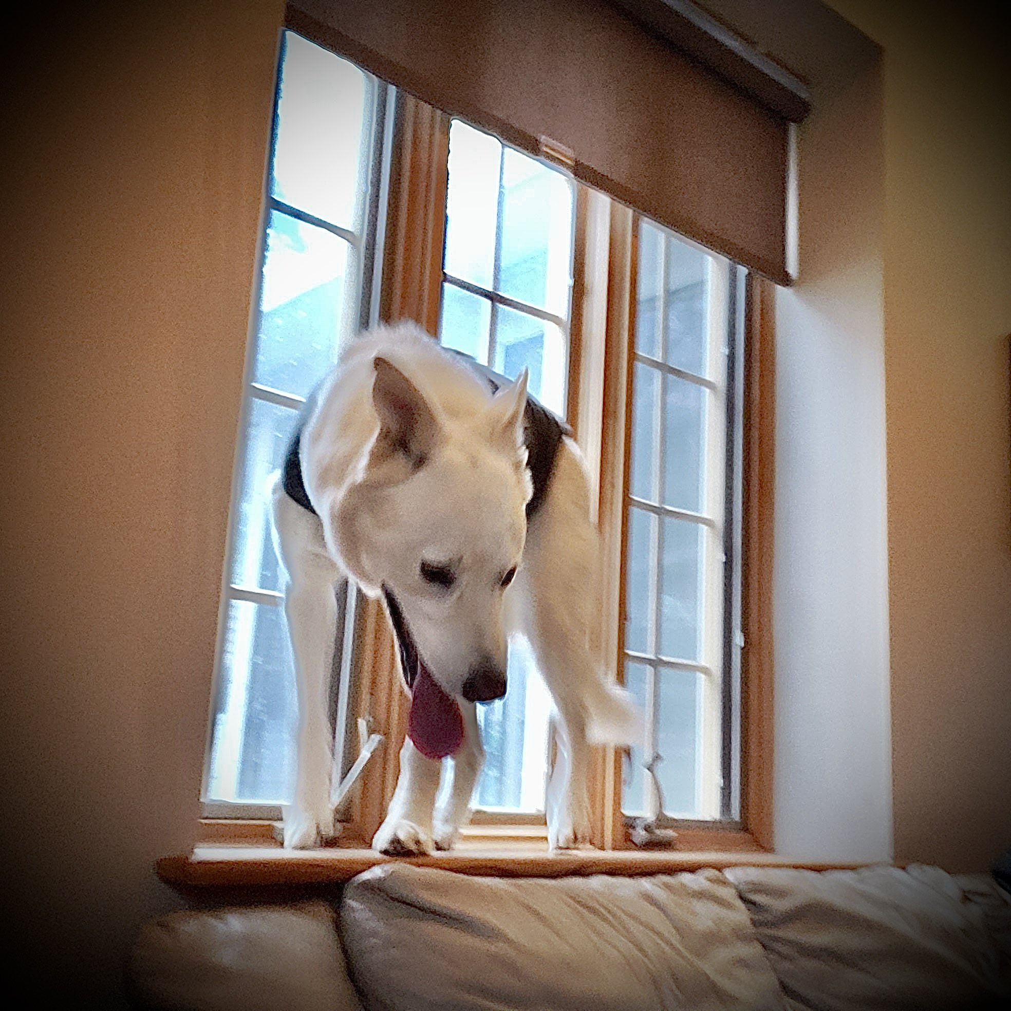 Bram Sable-Smith (@besables) / Twitter