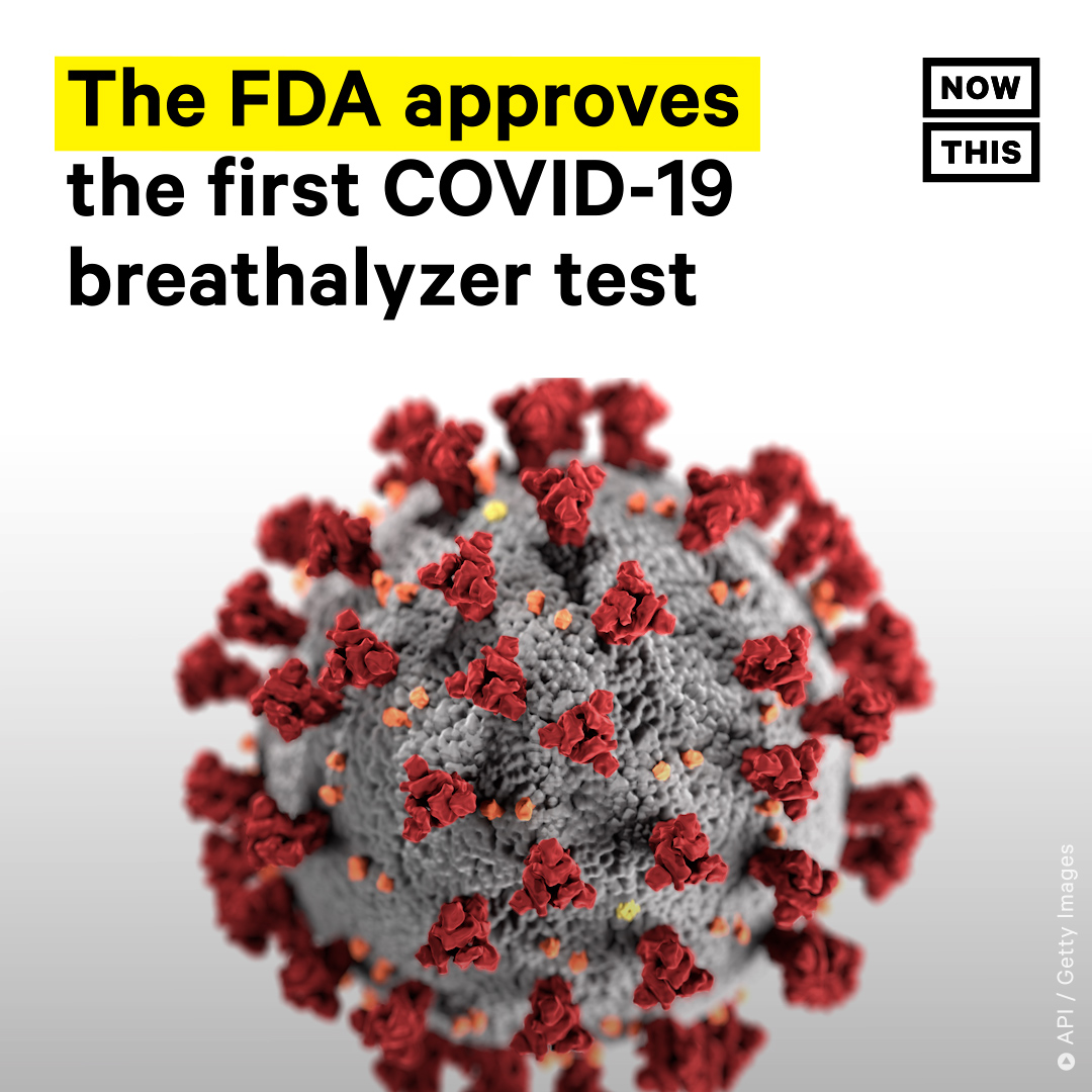 Thread by @nowthisnews on Thread Reader App – Thread Reader App