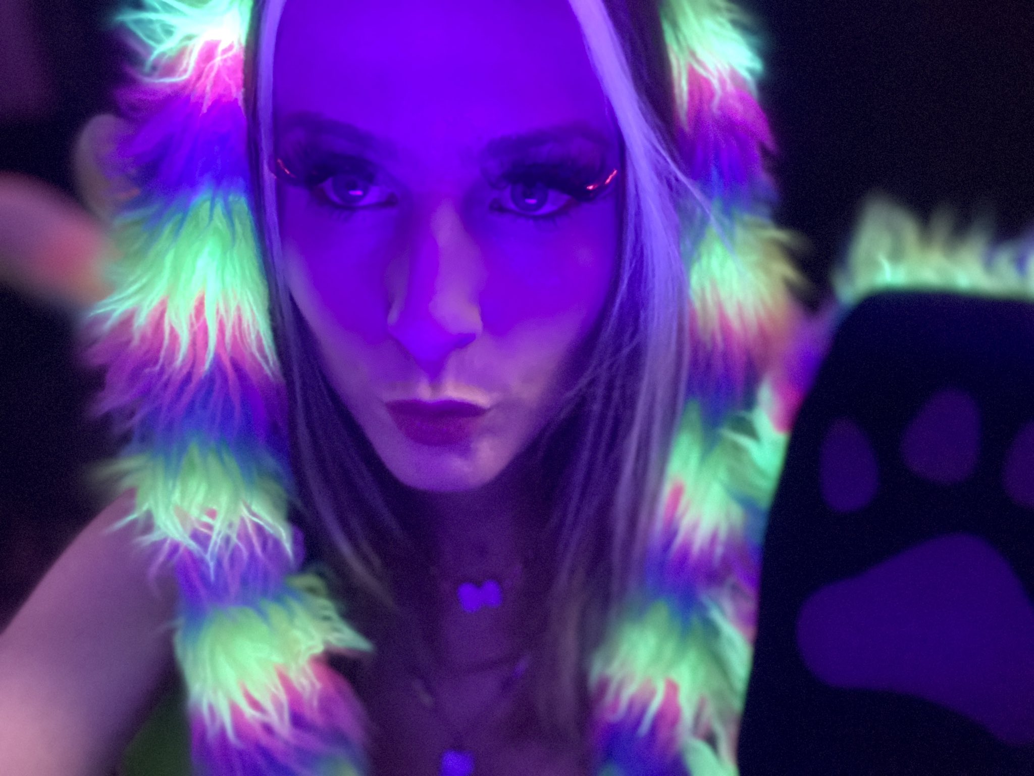 TW Pornstars - 2 pic. KandiiKittenX. Twitter. logging on cam right meow ...