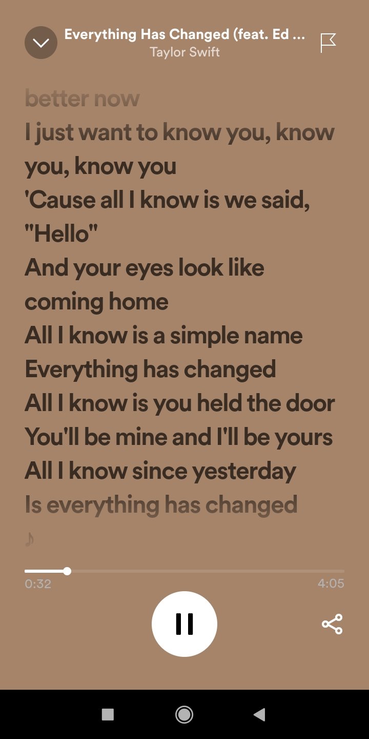Taylor Swift Everything Has Changed Lyrics