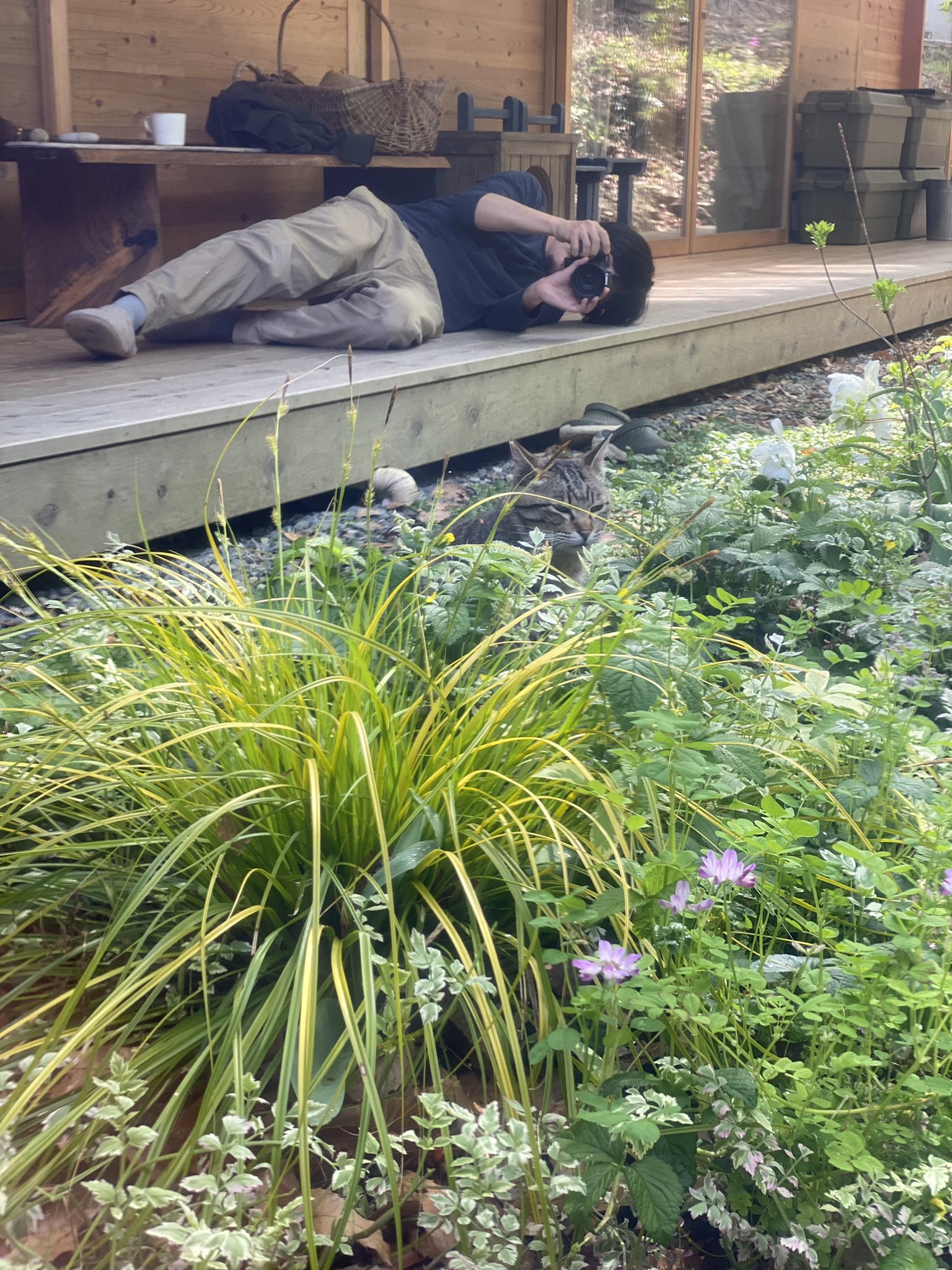 atsu_sasa on Twitter: "https://t.co/LTu3ywPhi0" / Twitter