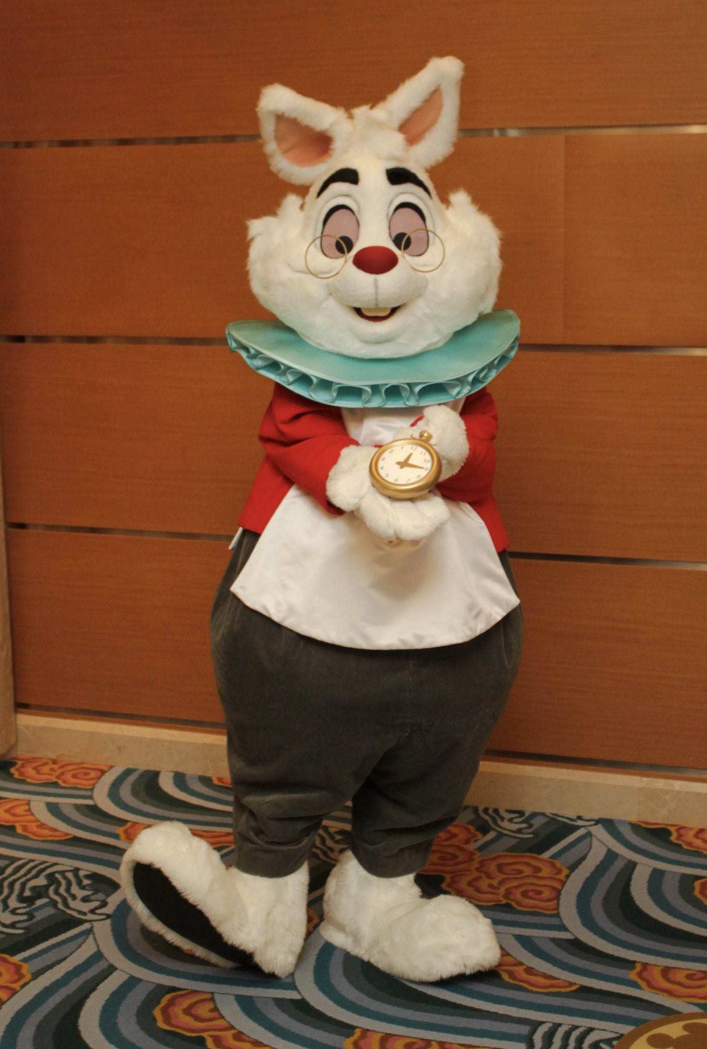 CharactersPhotosBlog on Twitter: "This time he’s not even late, the White Rabbit came onboard ...