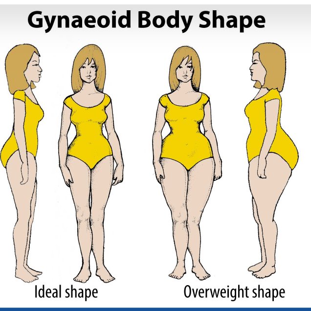 Female Android Body Type
