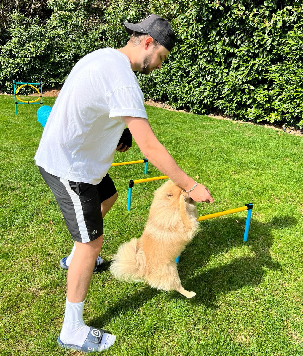 They call me dog-trainer Ali 🤓 Ali-A @omgitsalia