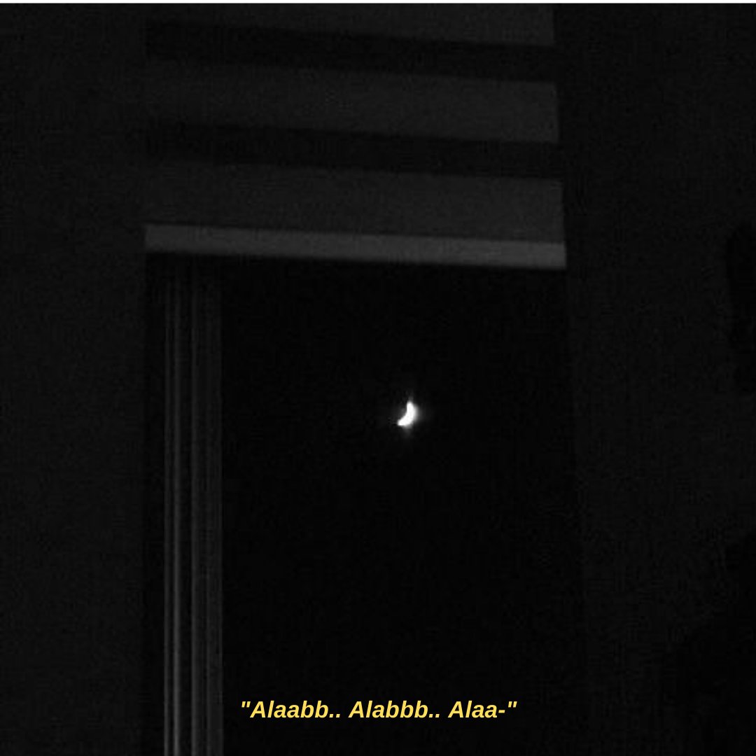 zi ☻ on Twitter: "530. https://t.co/moOB81wIDT" / Twitter