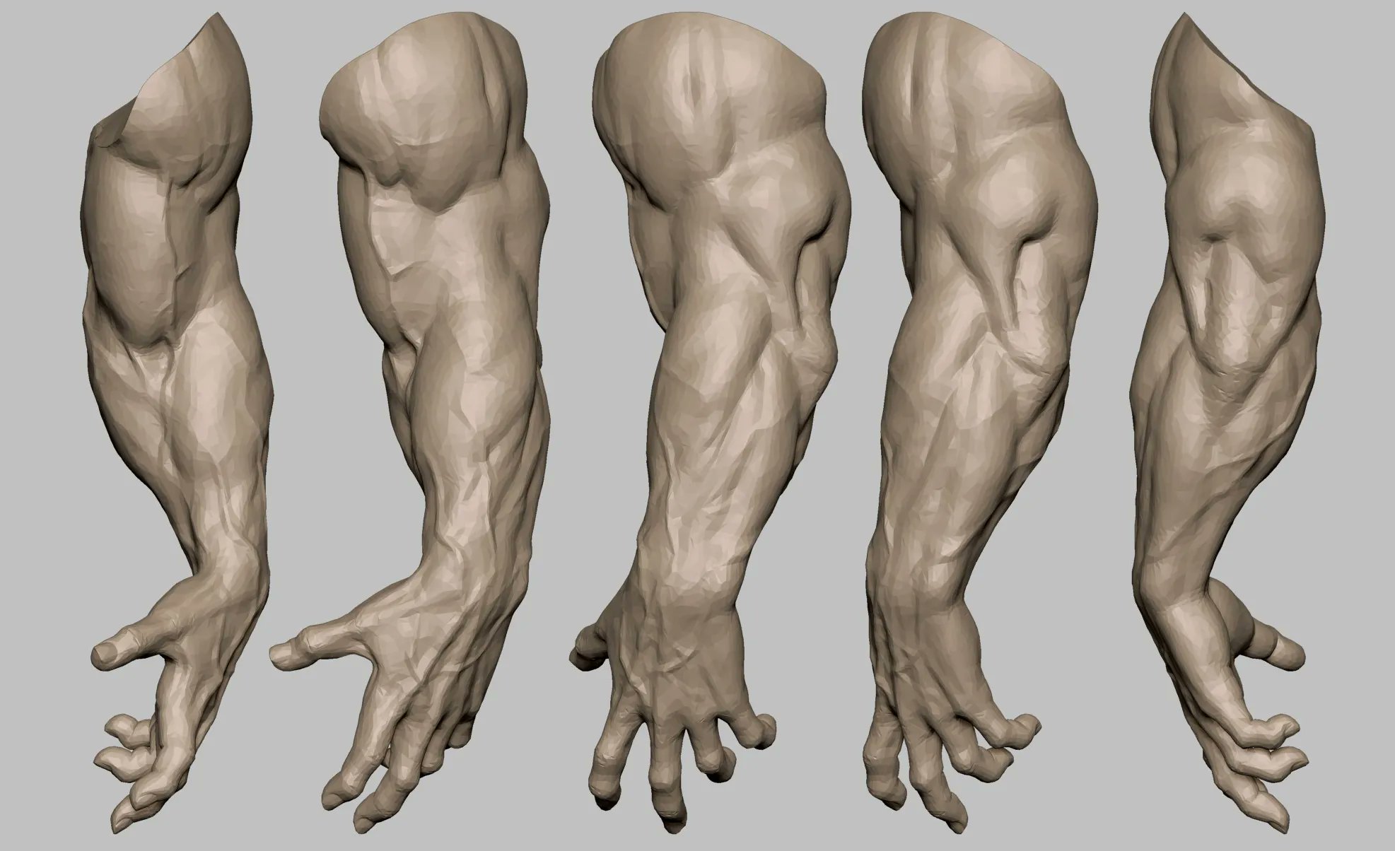 Male Arm Reference