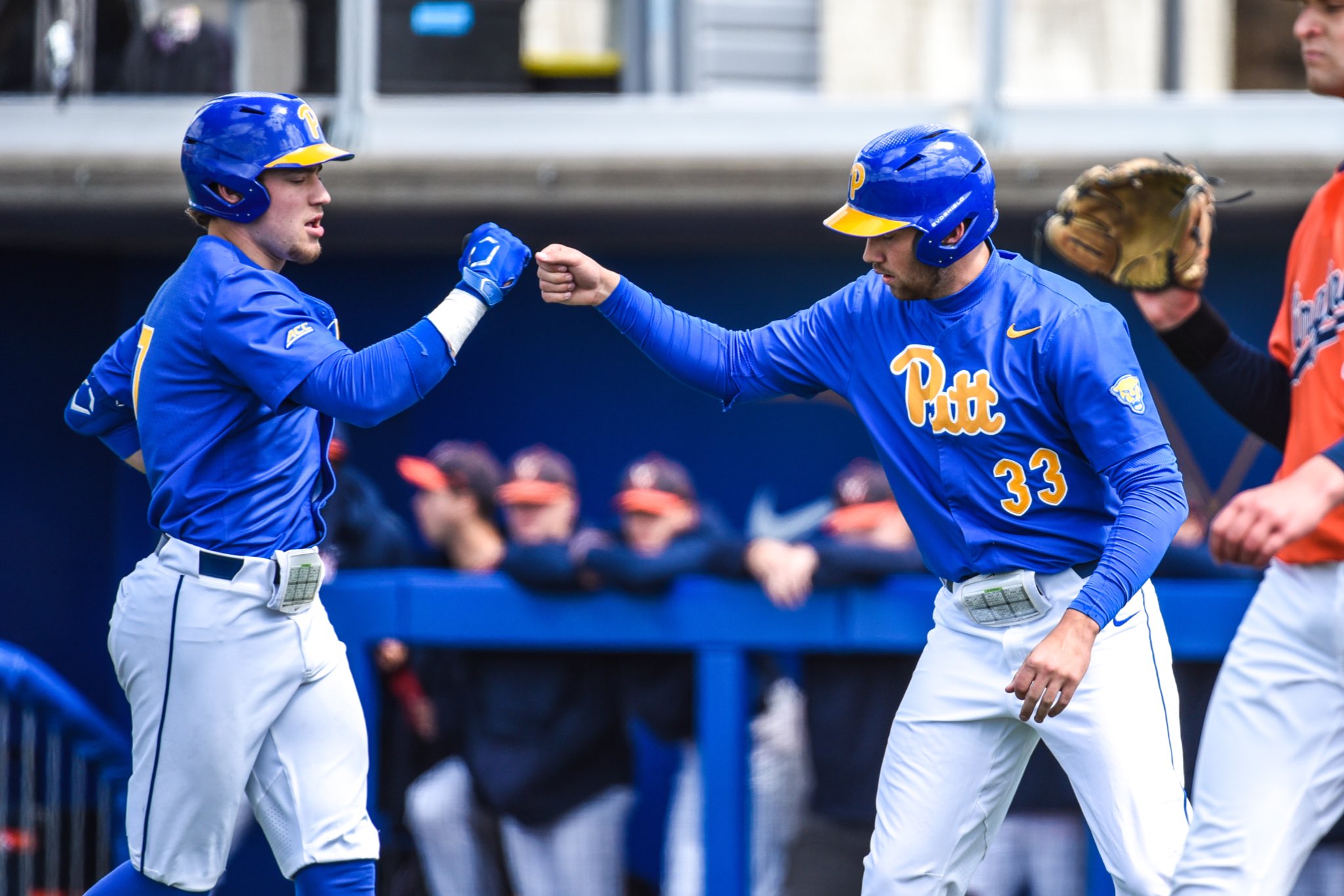 Pitt Baseball Team
