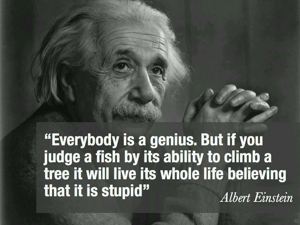 Quotes Albert Einstein Fish Everybody Is A Genius Albert Einstein
