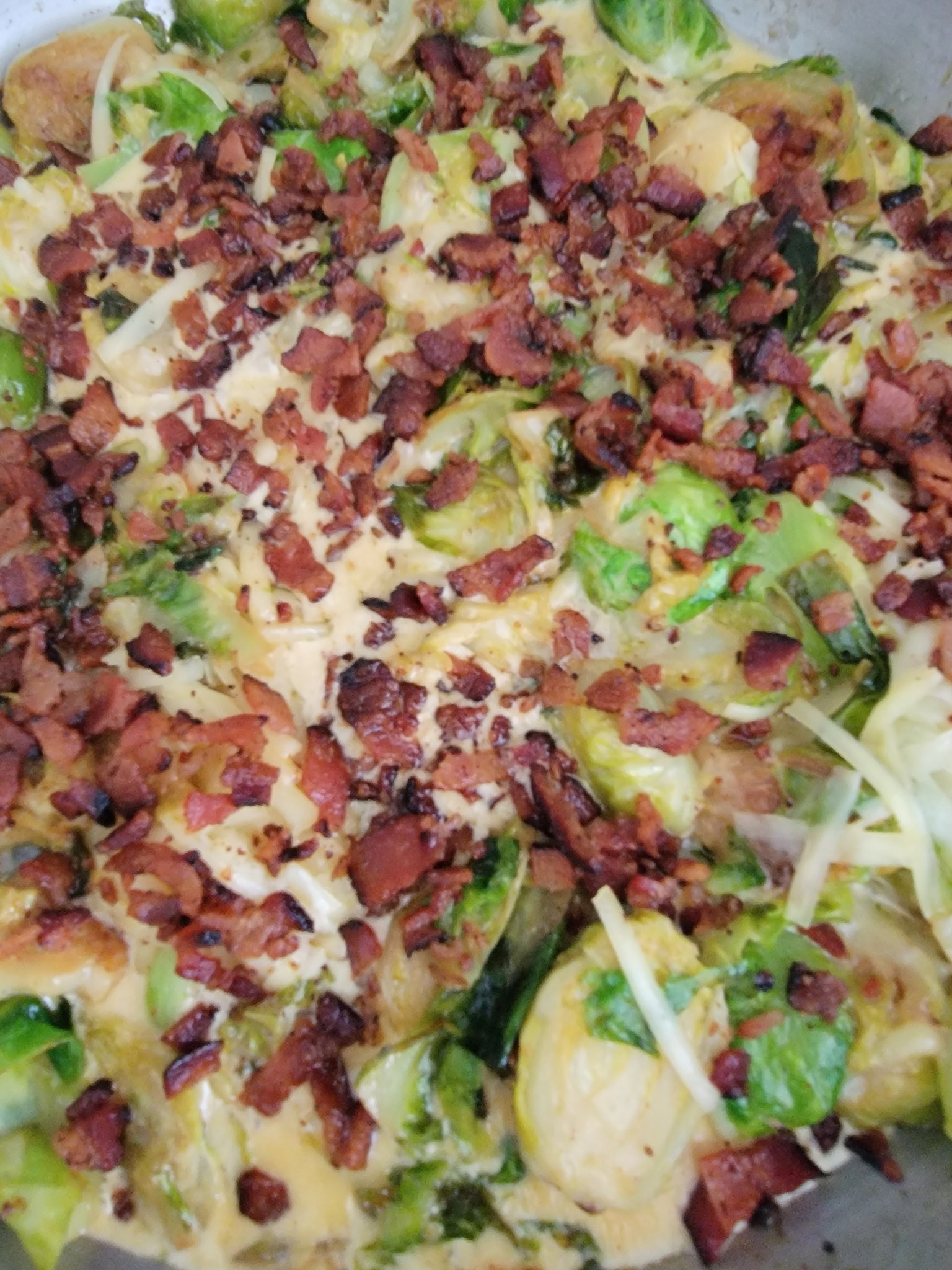 TW Pornstars - Giovanni Valentino * CHI APR 9-16, For EXXXOTICA. Twitter. Cheesy brussel sprouts ...