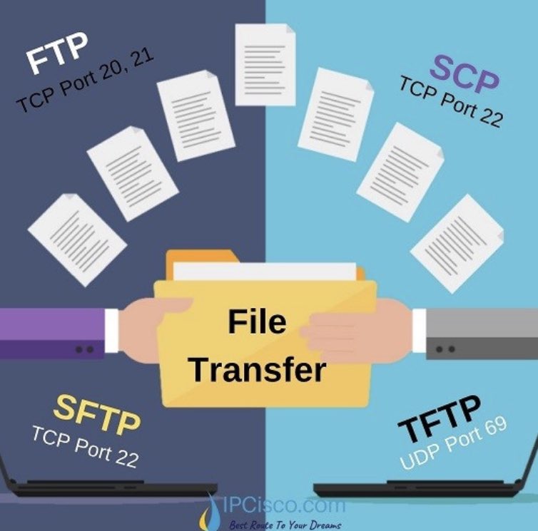 FTP -SCP- SFTP -TFTP #اساسيات_الشبكات - Thread from رنيـــــــــم ...