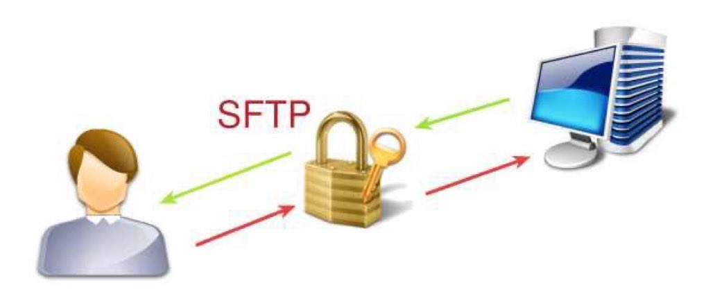 FTP -SCP- SFTP -TFTP #اساسيات_الشبكات - Thread from رنيـــــــــم ...