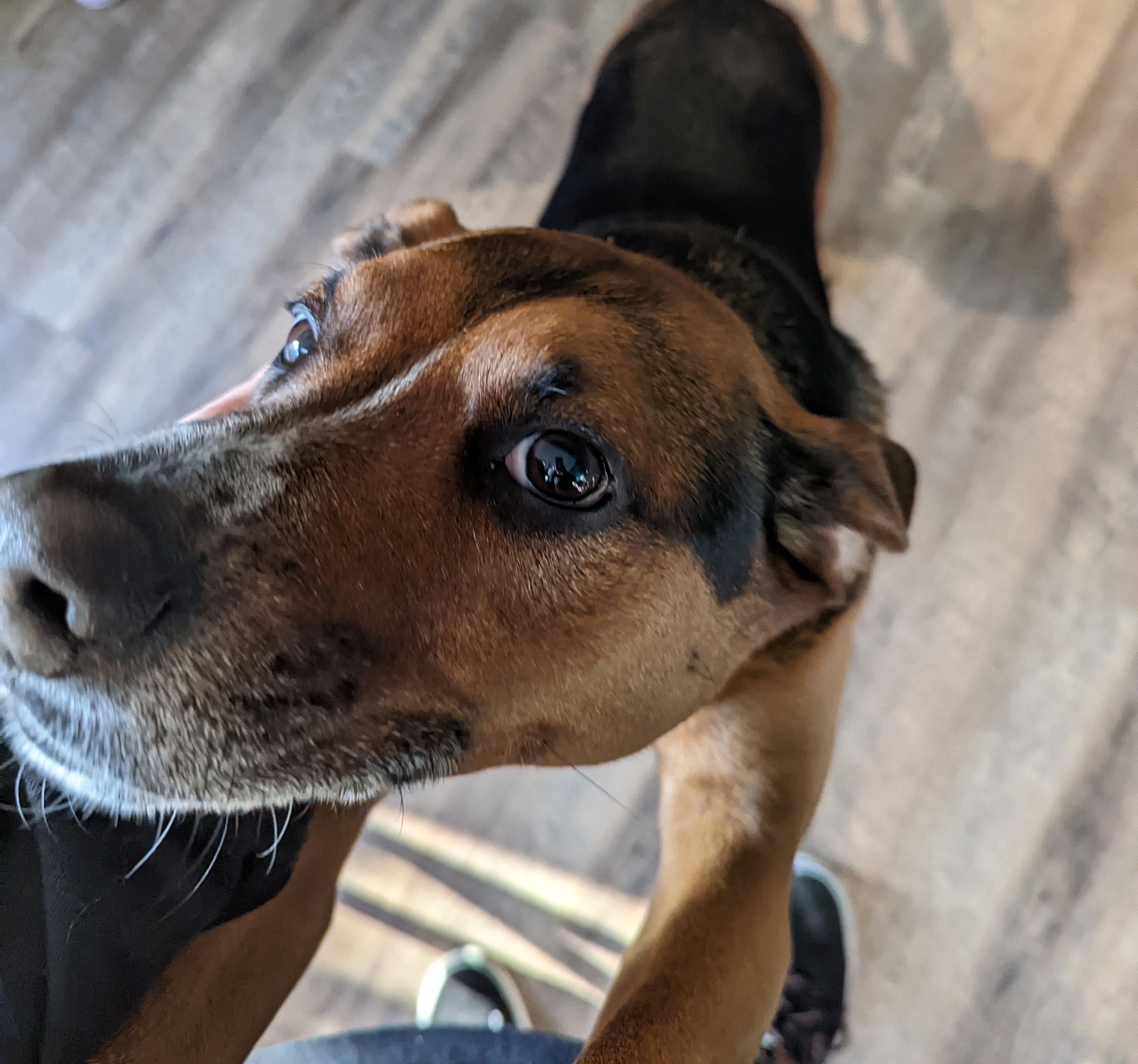 Kyle TechSquidTV on Twitter: "This is Frank, and I am nominating him for employee of the month ...