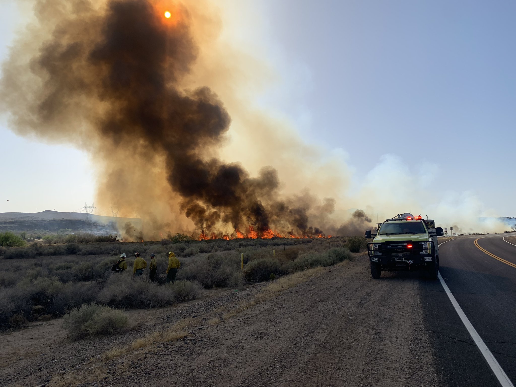 AZ State Forestry on Twitter: AZ State Forestry on Twitter: