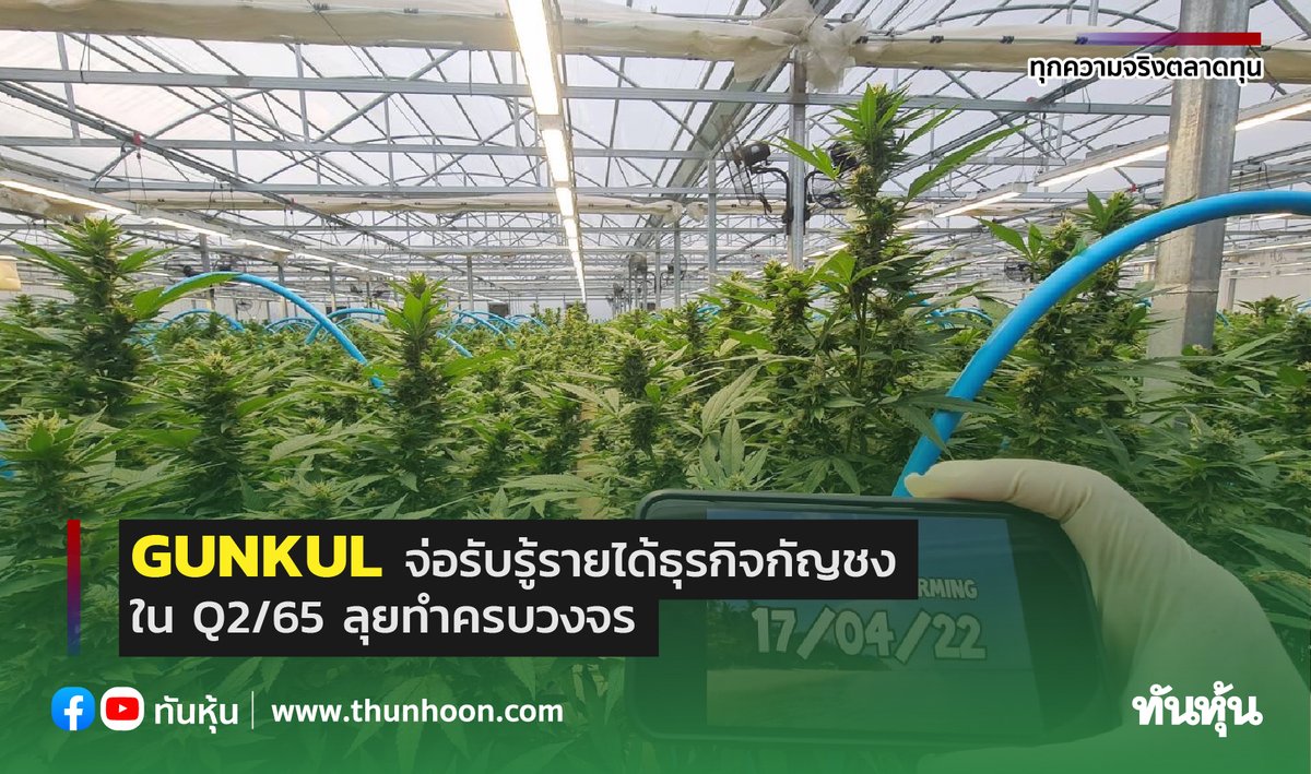 ทันหุ้น on Twitter: "GUNKUL จ่อรับรู้รายได้ธุรกิจกัญชงใน Q2/65 ลุยทำครบวงจร อ่านรายละเอียดข่าว ...
