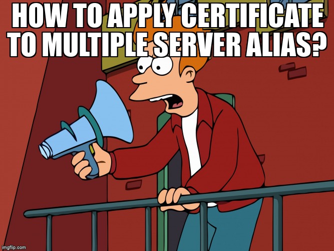 Meme Overflow On Twitter How To Apply Certificate To Multiple Server Alias
