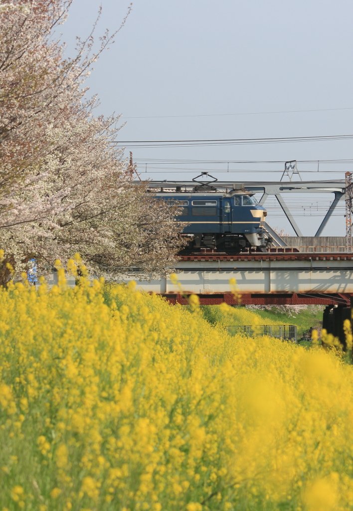 けいいち on Twitter: "4/6 8865レ EF66-27 @桂川橋梁 https://t.co/hnPnodCNaB" / Twitter