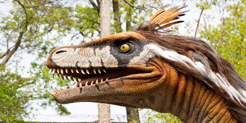 Utahraptor Vs Velociraptor