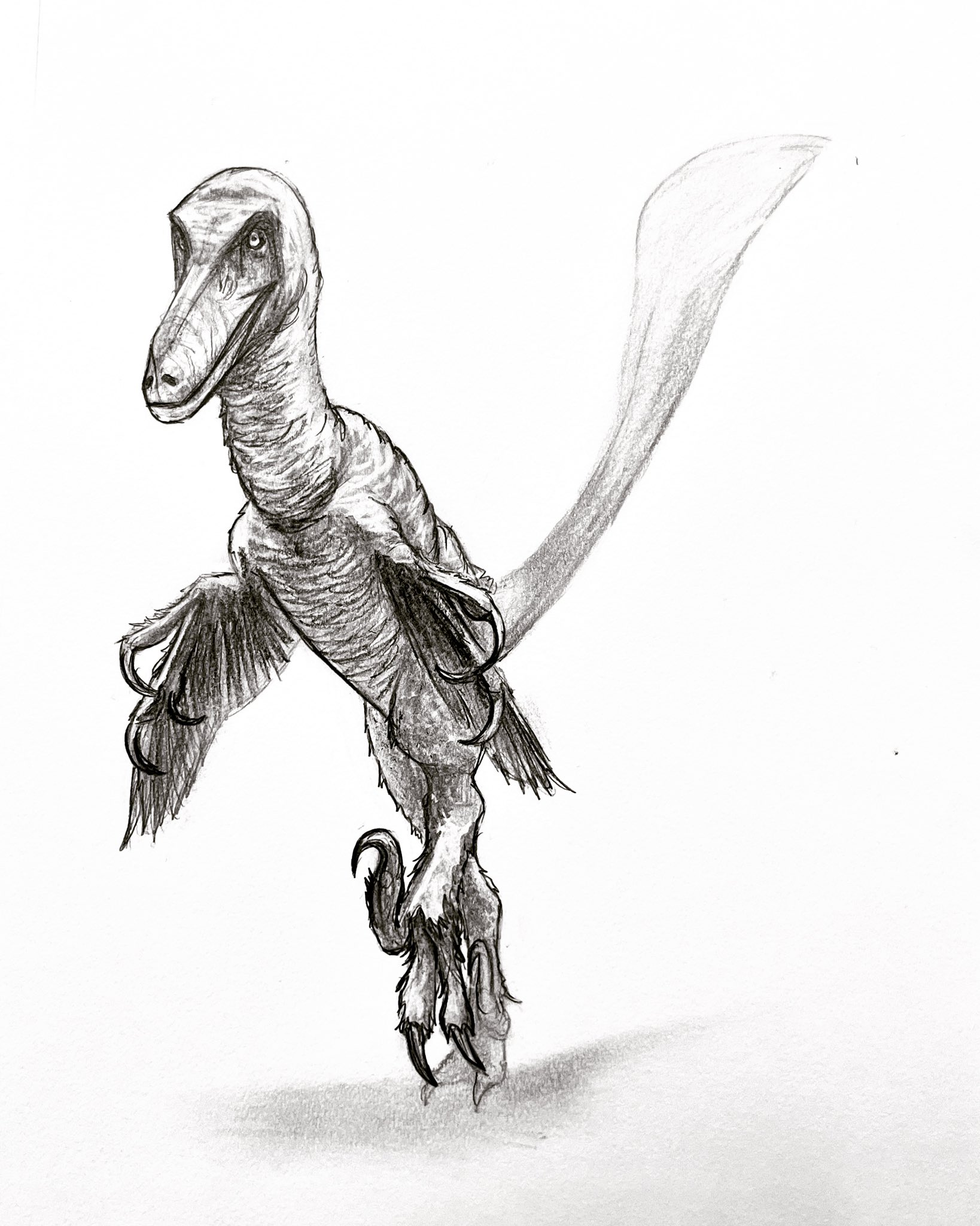 Realistic Velociraptor Drawing