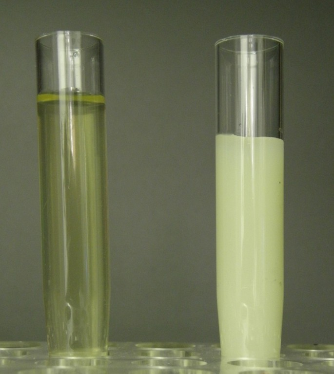 Thread By @nefron1310 - This thread explains milky white...