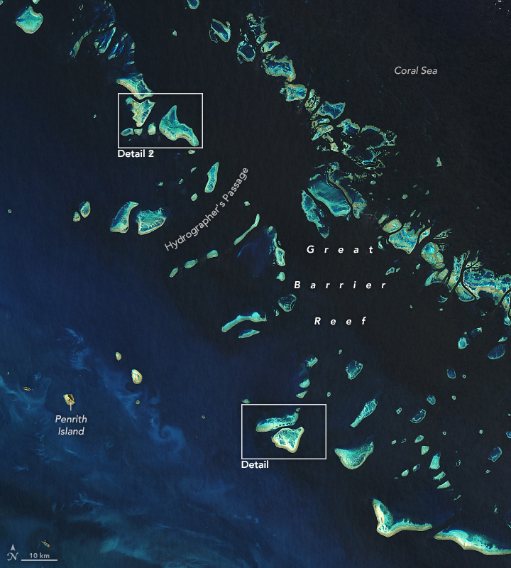 Geological evidence shows the reef system has a history of demise and ...