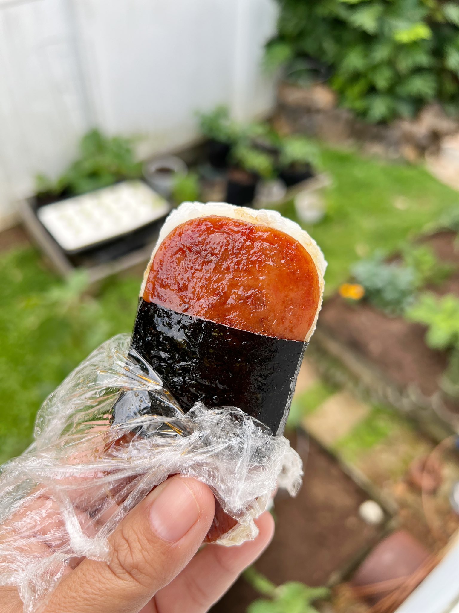 Catherine Toth Fox on Twitter: "Breakfast. And it’s a totally normal one in #Hawaii. https://t ...