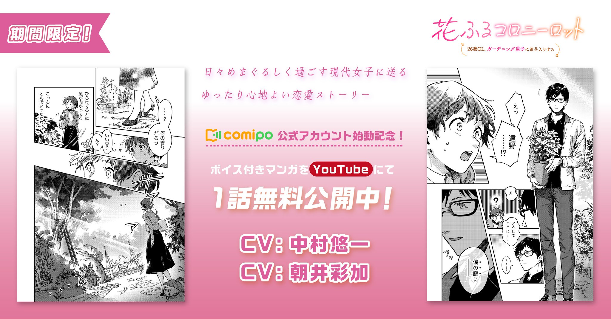 comipo【公式】 on Twitter: "／ 日々めまぐるしく過ごすあなたへ！ \ #中村悠一 さん #朝井彩加 さんver.の 優しさ溢れるボイス付きマンガ #花コロ でぜひ癒されて ...