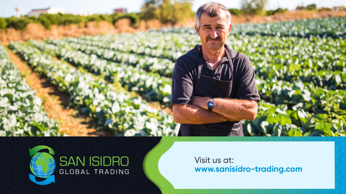 San Isidro Global Trading Sanisidroglobal Twitter