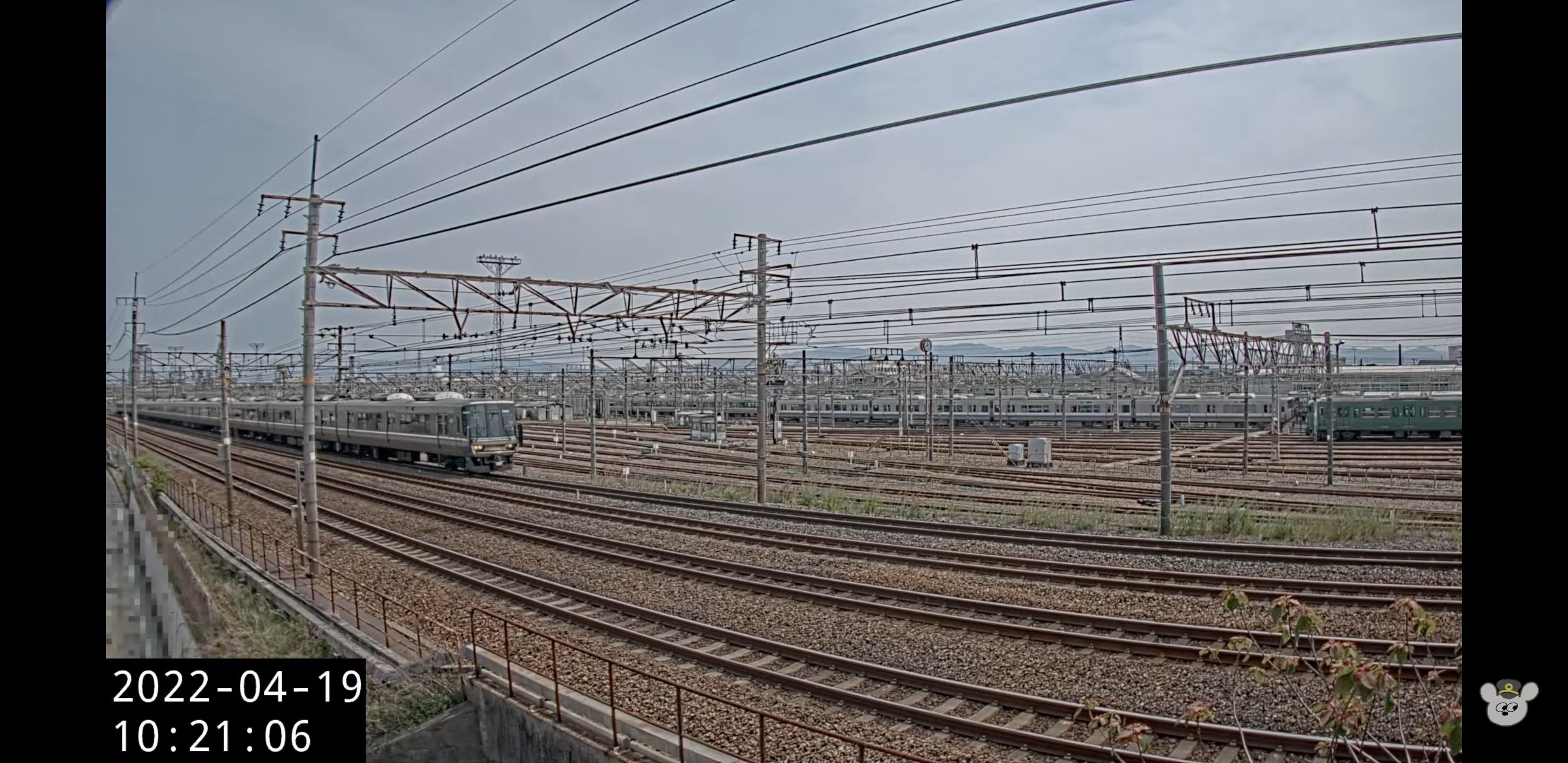 ピス on Twitter: "今日のスクショその⑤ ・配9728列車~配9645列車(E235系新津出場配給)EF64-1031+E235系F-15編成計2枚 さいたま新都心と大船駅ライブ ...