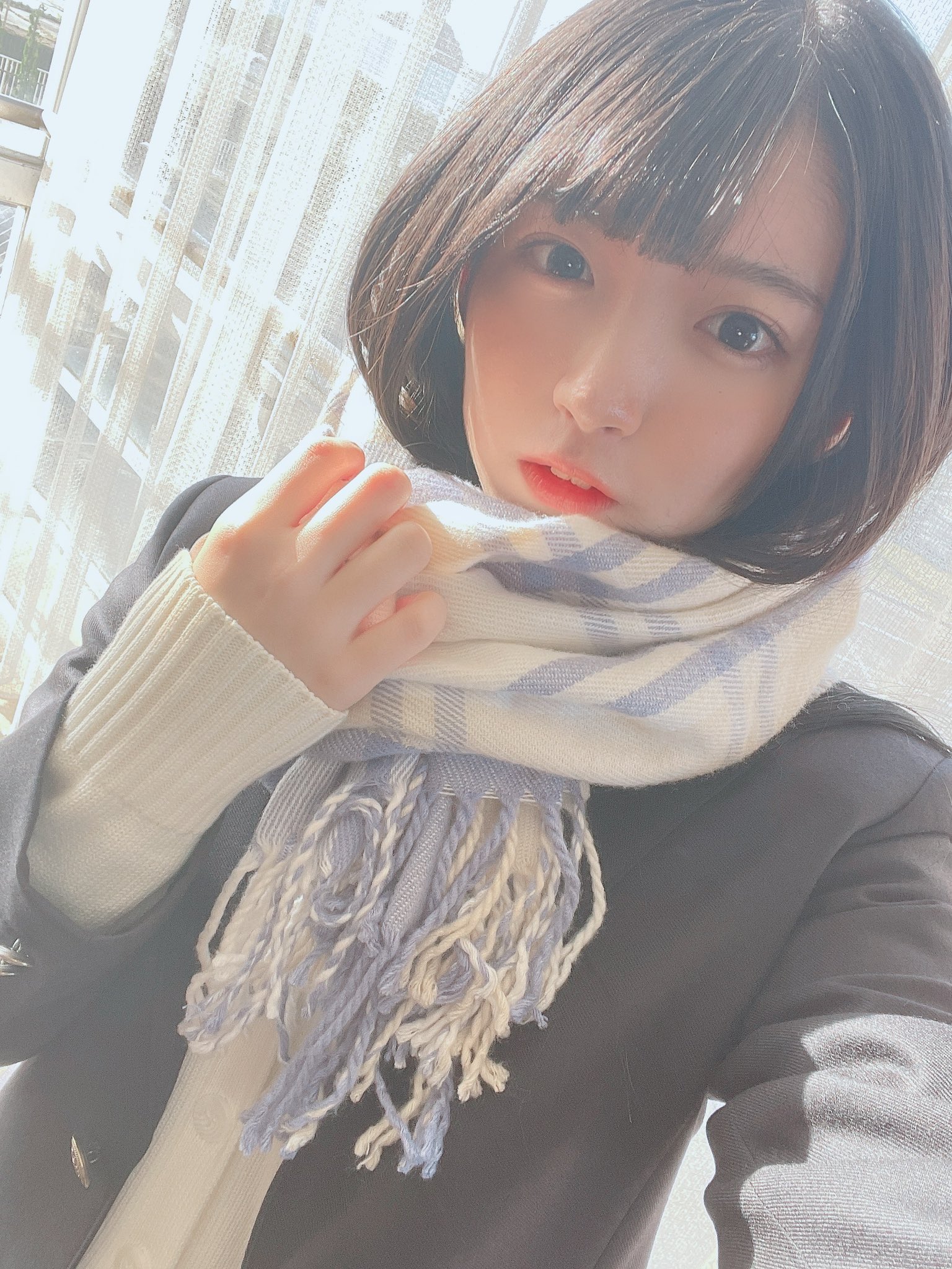 Voice Actor Card Collection（ボイコレ） 公式 on Twitter: "RT @amane_bushi: #アオハルあまねす 本日発売です https://t.co ...