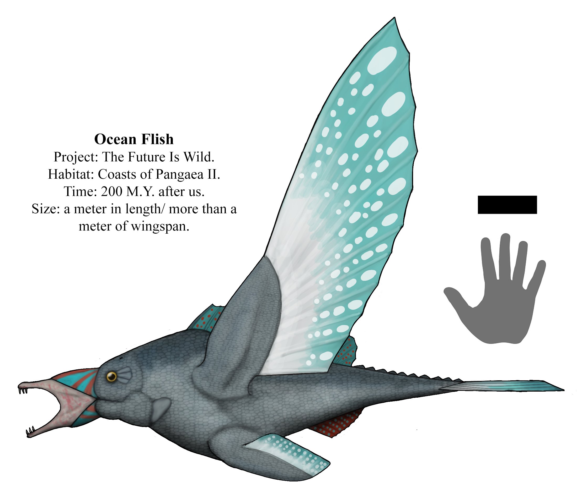 Future Animals On Earth