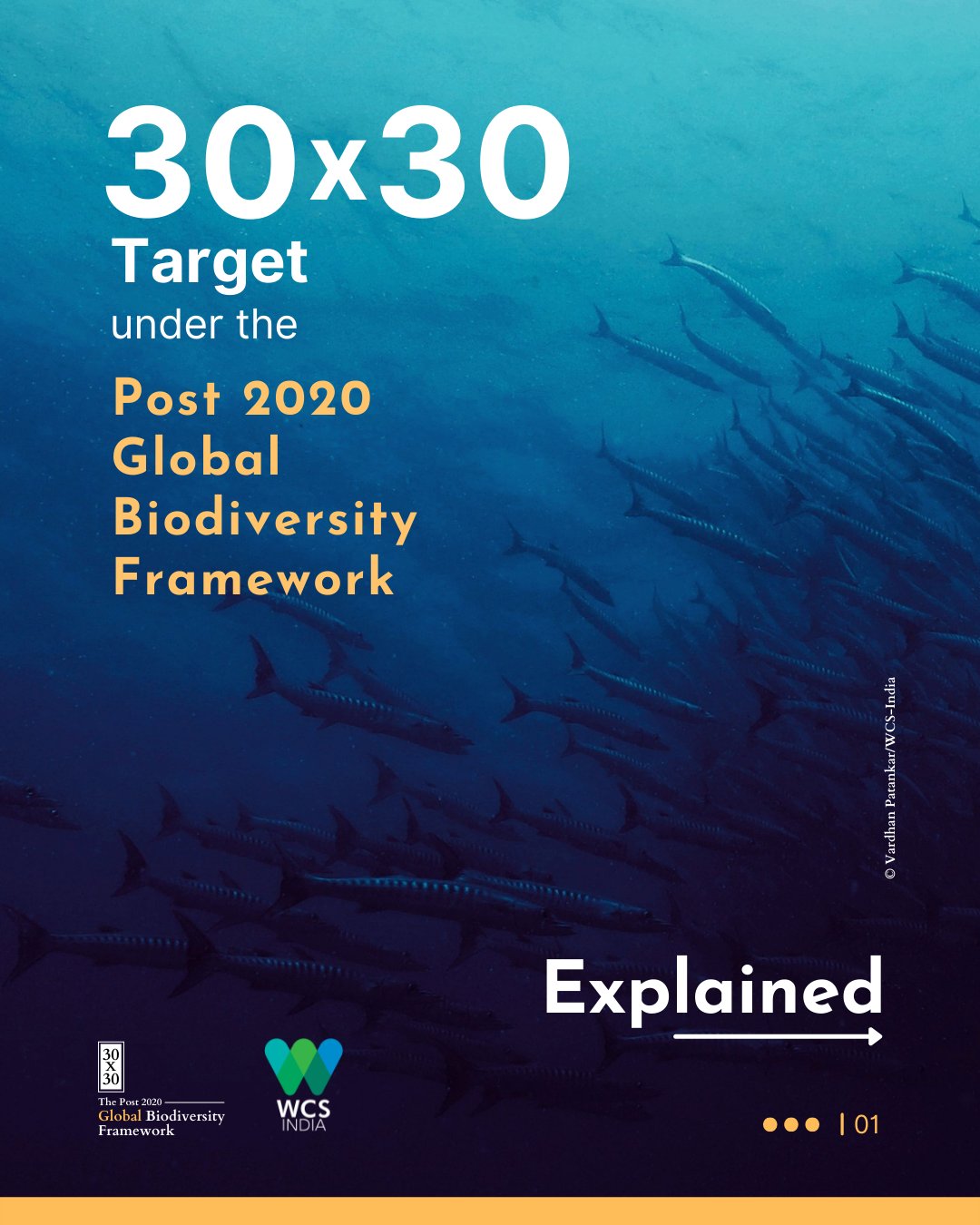 WCS India on Twitter: "To be adopted at @UNBiodiversity #COP15, the 30x30 Target, one of 21 ...