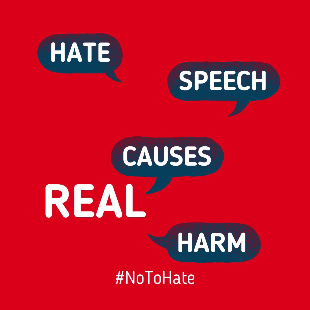 PVA on Twitter: "Hate speech online can cause harm in real life. Say #NoToHate: 💠 Make your ...
