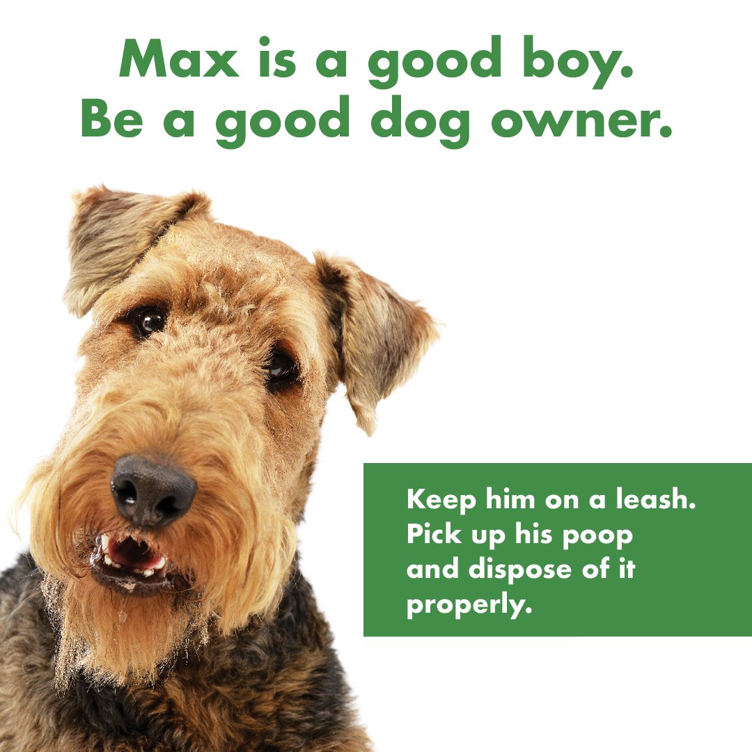 How Do You Properly Pick Up A Dog