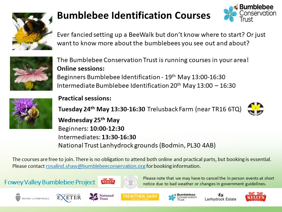 Bumblebee Conservation Trust (@BumblebeeTrust) / Twitter