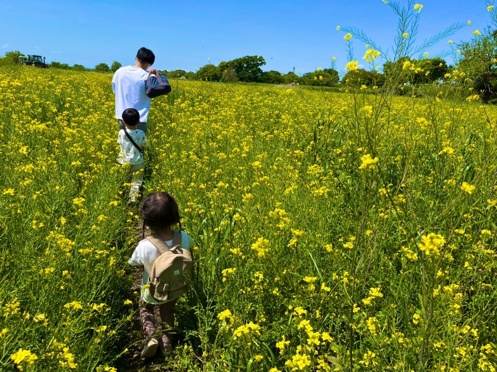 ᴋᴀɴᴀ ︎︎☺︎(@kanyan_) - Twilog (ツイログ)