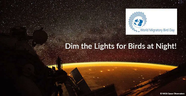 UN Environment Programme on Twitter: "Light pollution can adversely ...