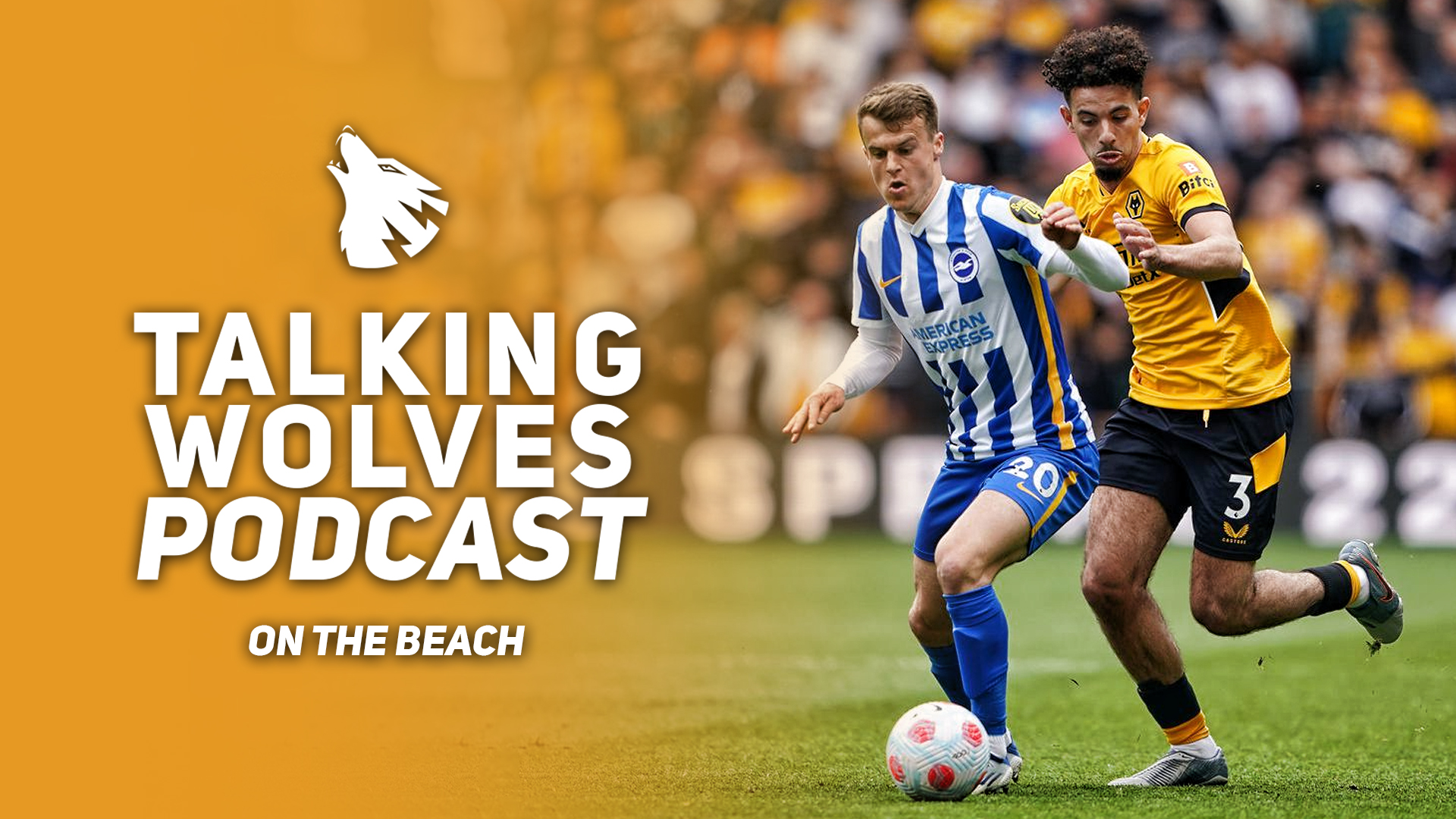 Talking Wolves on Twitter: Talking Wolves on Twitter: