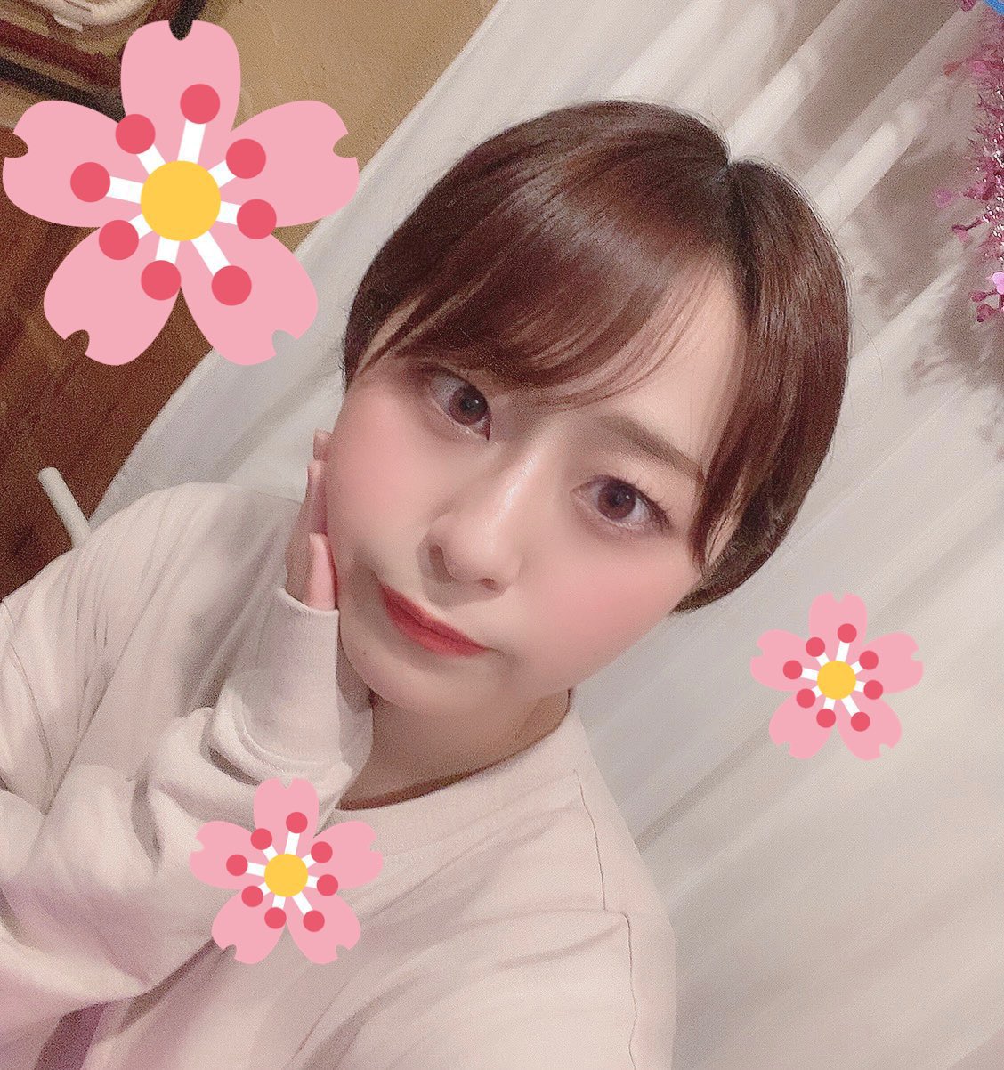 もも🐰もふる大宮 (@momo_mofru) / Twitter