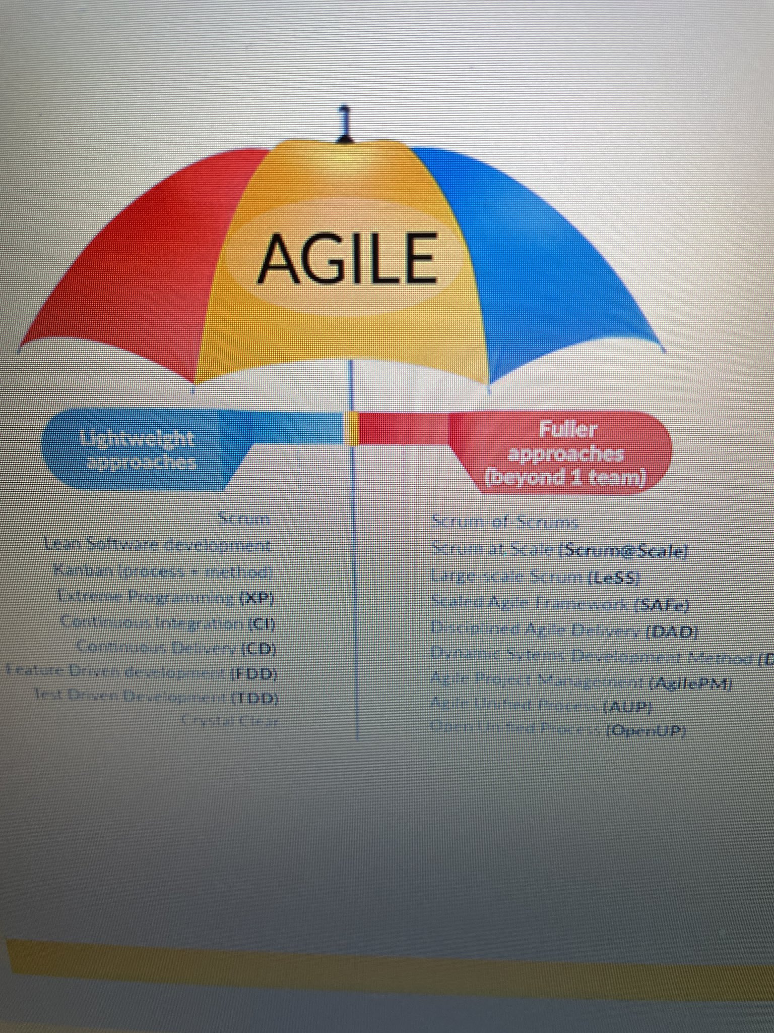 Aina Alive (Aliieva) (@Alive_Aina) / Twitter