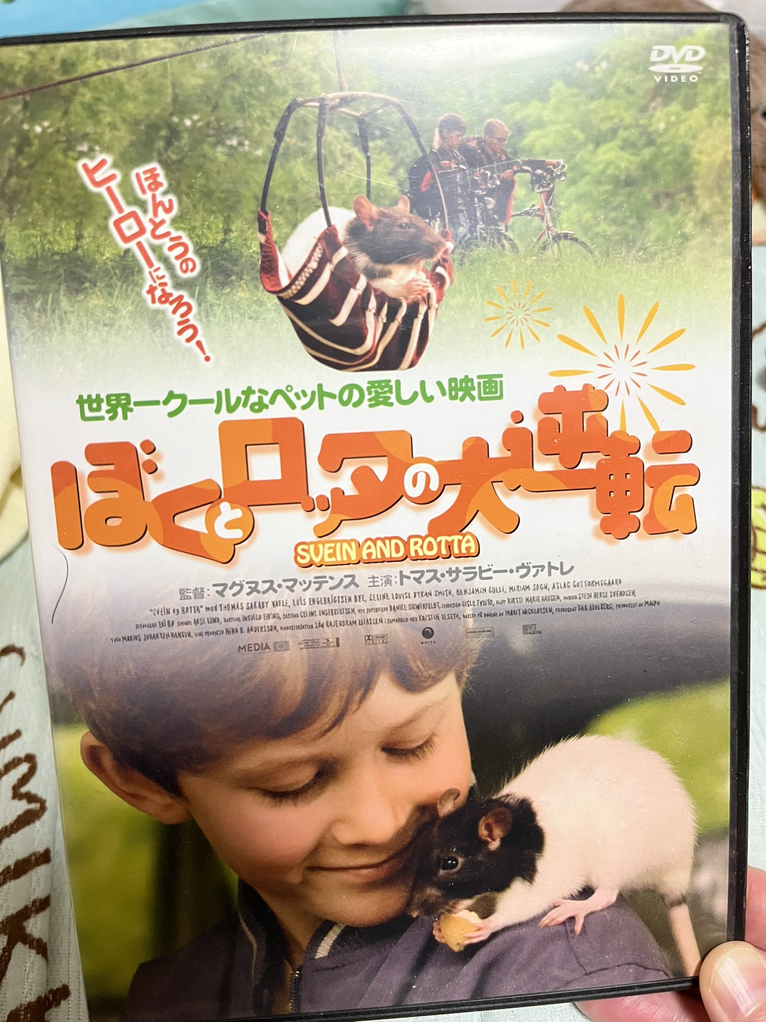 りんな@よろずアカウント on Twitter: "@akebi_rat @nezumi_bidan ノルウェー映画の、ぼくとロッタの大逆転も ...