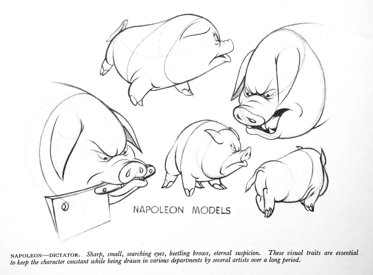 Animal Farm Pig Drawing