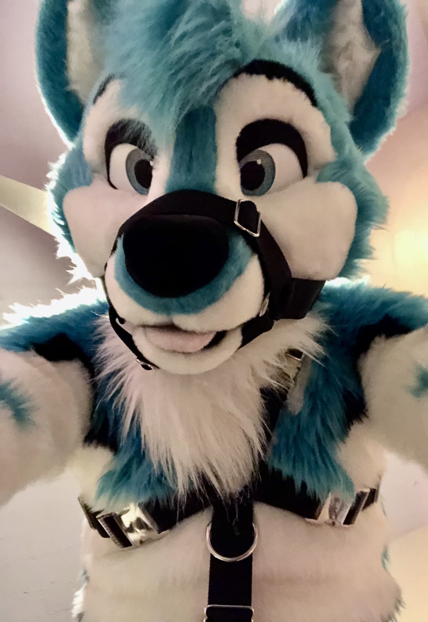 Kevon on Twitter: "Find me at FWA. 😈 https://t.co/Espkxa4Mie" / Twitter