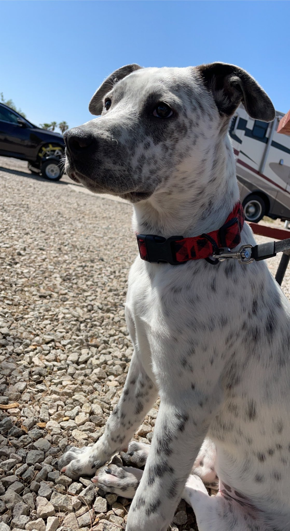 TW Pornstars - Chloe Kreams. Twitter. I have taken a million pictures of her already she’s just ...