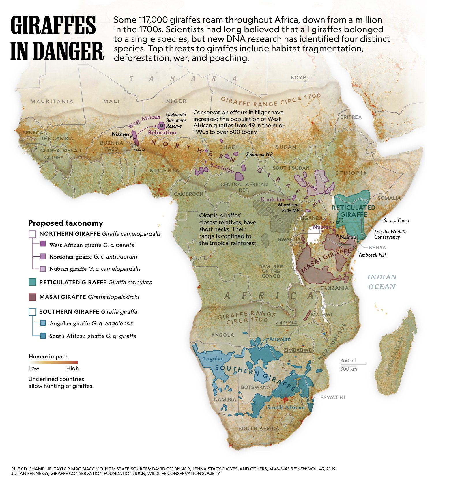 Giraffes In Africa Map