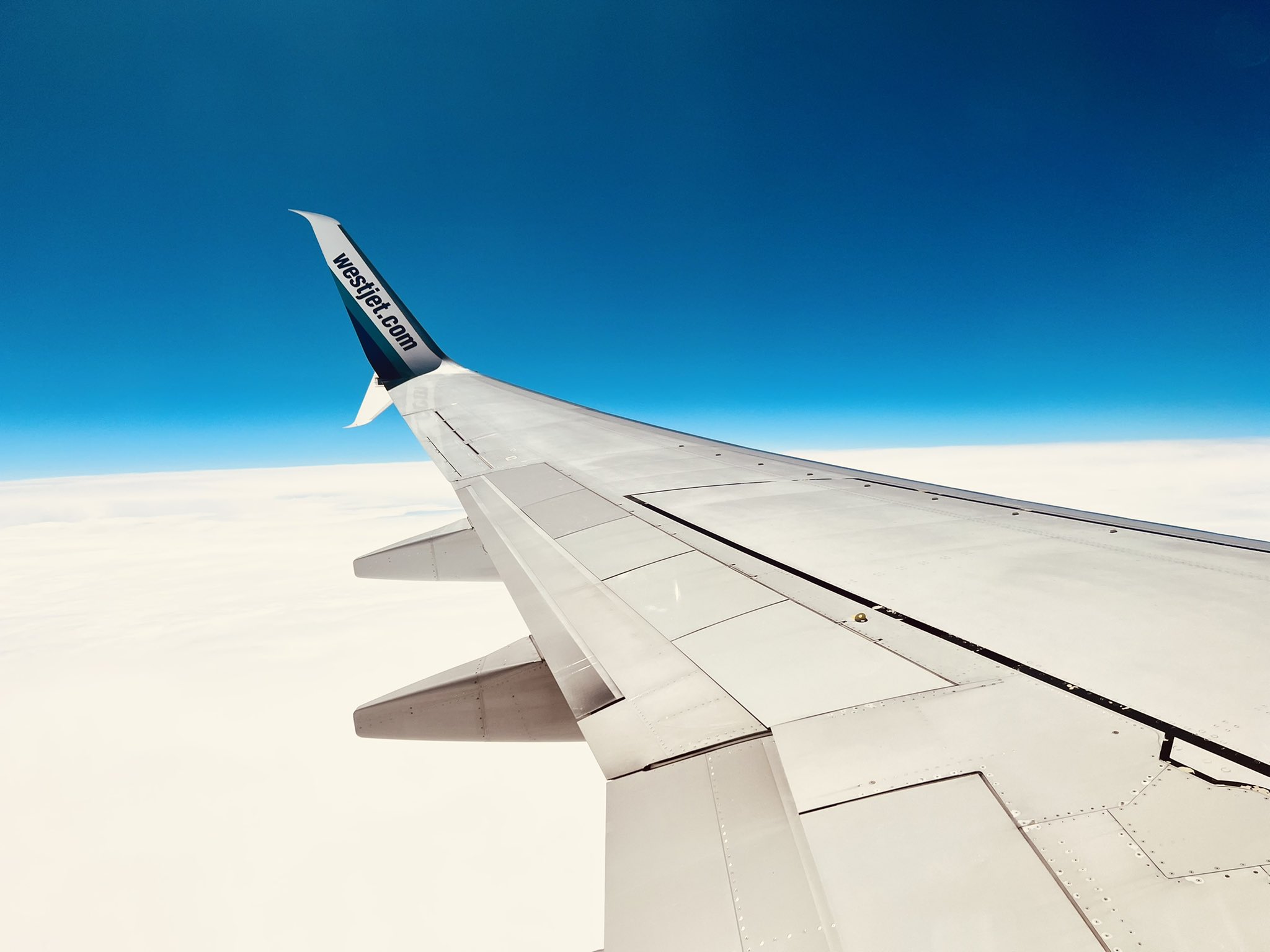 Safe Flight Home