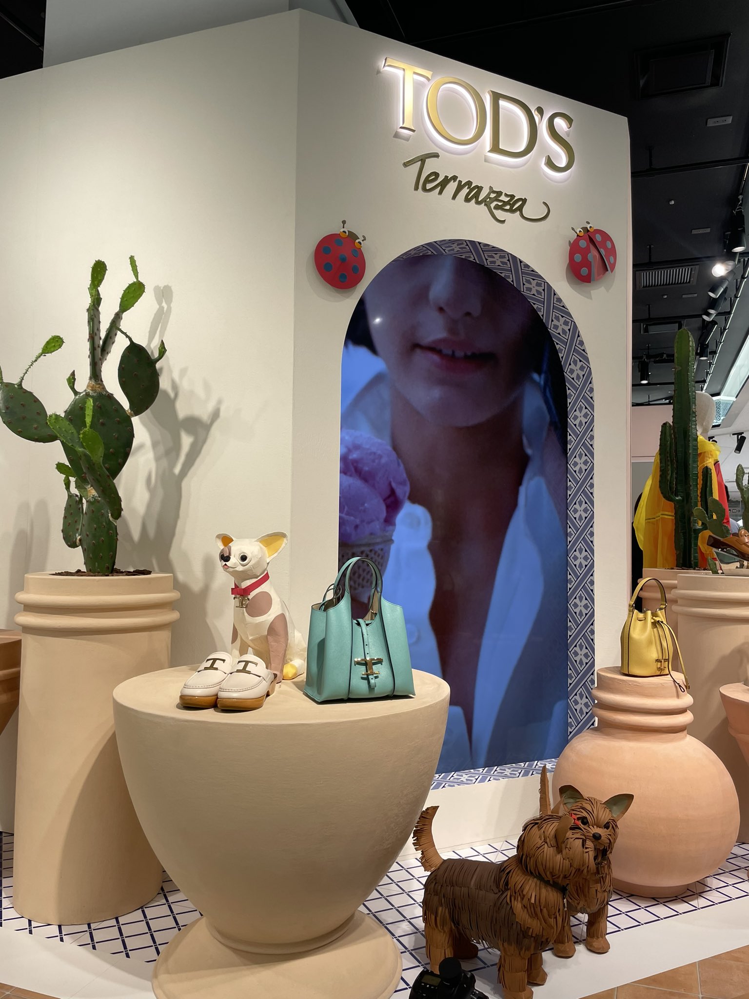 劇団EXILE on Twitter: "【#町田啓太】 この後21:00〜 伊勢丹新宿で開催される 「TOD'S TERRAZZA」 ポップアップイベント会場より TOD'S × Oggiの ...