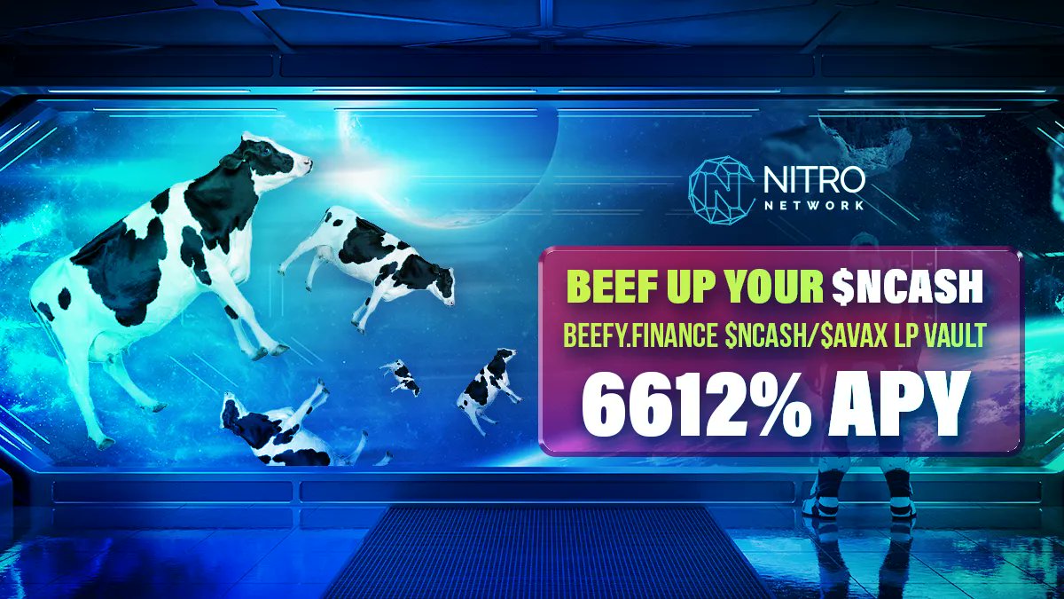 Nitro Network 🔺 on Twitter: "Nitro Network ANNOUNCES a NEW partnership!! @BeefyFinance now ...