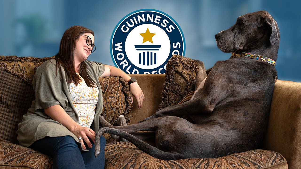Guinness World Records Biggest Dog